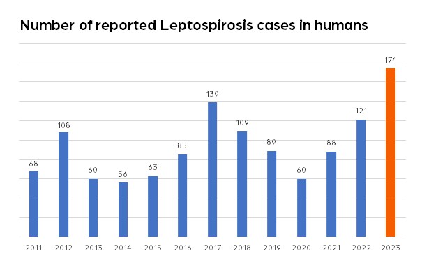Leptospirosis
