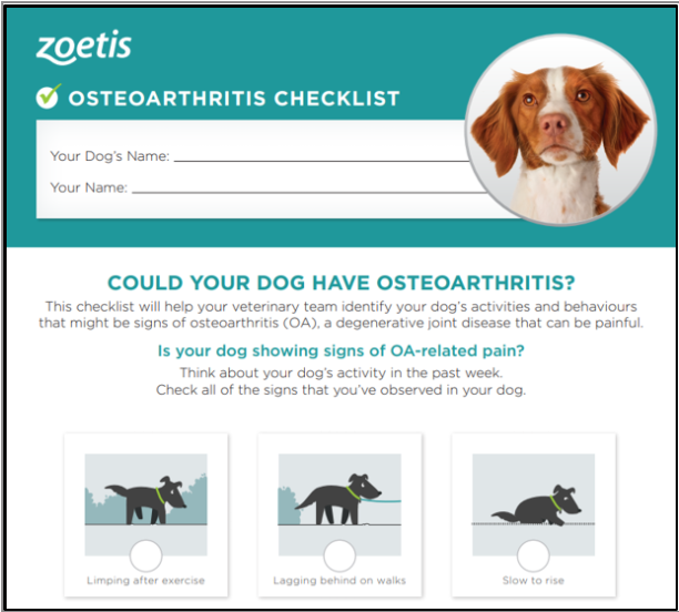 Zoetis Arthritis Dogs at John Keys blog